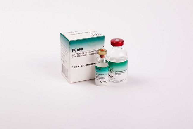 PG 600 - MSD Animal Health Russia