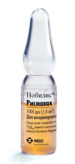 Нобилис® Рисмавак (Nobilis® Rismavac) - MSD Animal Health Russia
