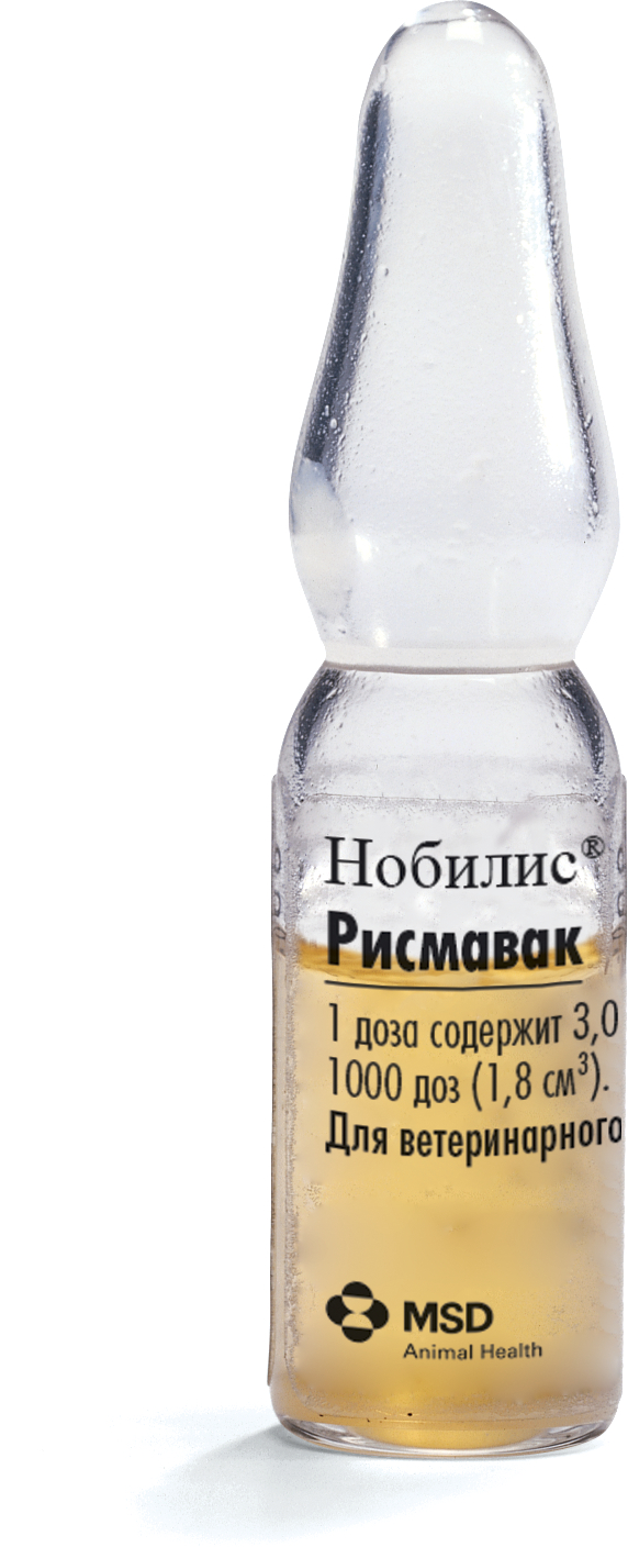 Нобилис® Рисмавак (Nobilis® Rismavac) - MSD Animal Health Russia